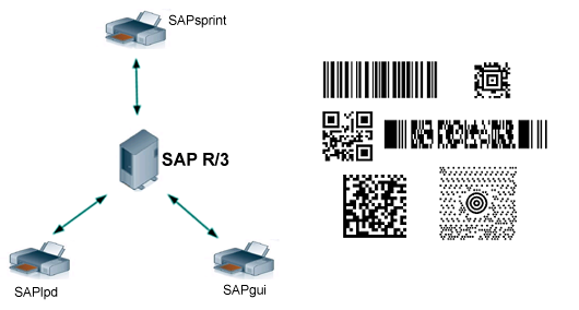 MW6 Technologies, Inc. ::: A Passion For Barcoding